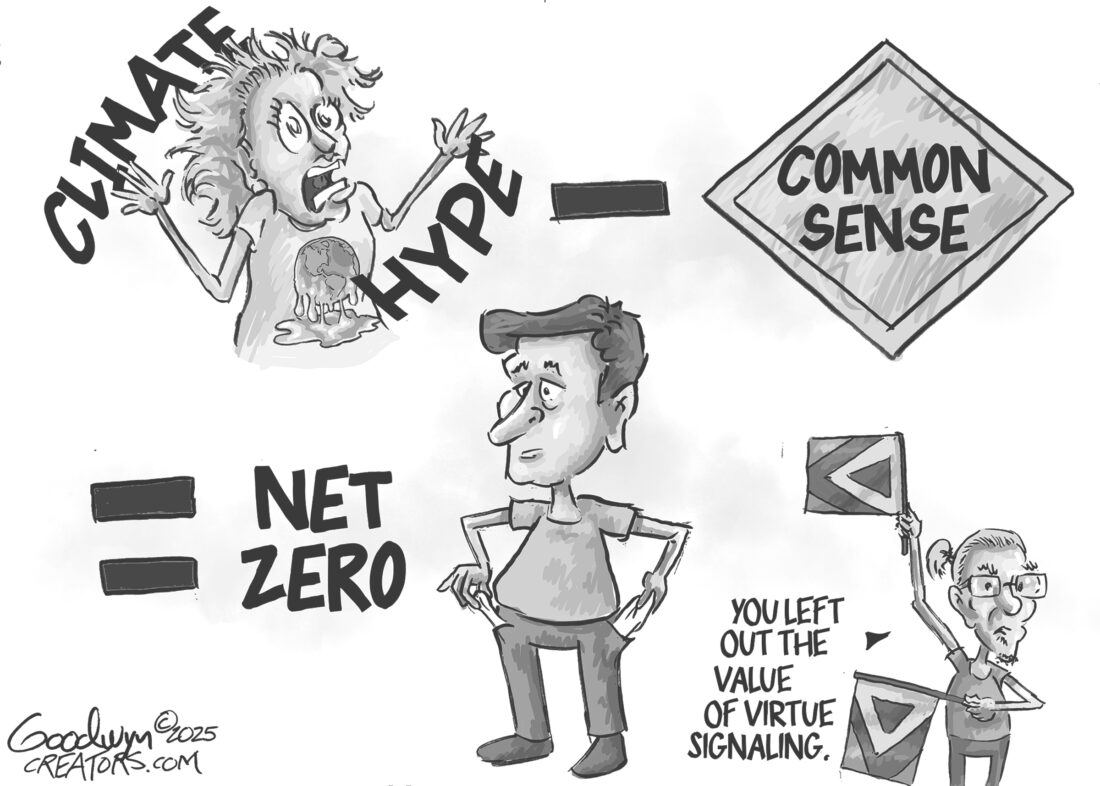 Editorial cartoons — 2 of them | News, Sports, Jobs - The Mining Journal